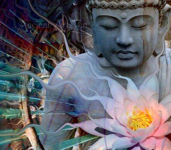 Le 4 nobili verità del Dharma - La Mente è Meravigliosa